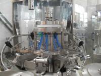 China 3000 bph Auto Bottled Water Filling Line 500 ml PET Beverage Filling Machine for sale