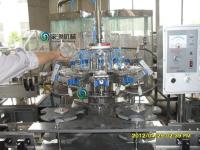 China Glass Bottle Hot Juice Filling Machines , Automatic Water Bottling Plant for sale