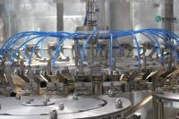 China Automatic Mineral and Pure Water Bottle Filling Machine Staniless Steel 5500kg for sale