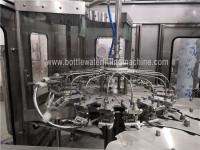 China PLC  Control Plastic Bottle Automatic Litchi Juice Filling Machine for sale
