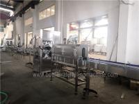 China PLC  Control Plastic Bottle Automatic Litchi Juice Filling Machine for sale