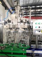 China SUS304 CSD Carbonated Drink Filling Machine 2000ml Bottle Size for sale