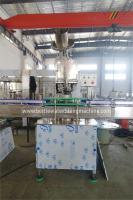 China SUS304 CSD Carbonated Drink Filling Machine 2000ml Bottle Size for sale