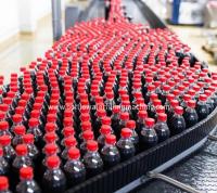 China Sparkling Water Carbonated Drink Filling Machine 4000BPH CSD Production Line for sale