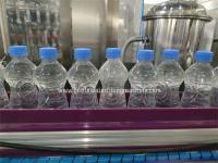 China Fruit Juicer Production Line PLC Controlled Flavor Drink Bottling Machinery for sale
