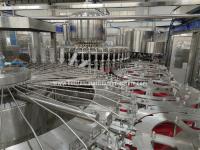 China Fruit Juicer Production Line PLC Controlled Flavor Drink Bottling Machinery for sale