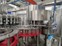 China Pet Bottle Juice Filling Bottling Machine 1000ml Line 50 Nozzle for sale