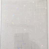 China Zinc Steel Coating PCM Panel Rolls Cold Rolled 0.12 - 0.2mm Thickness for sale