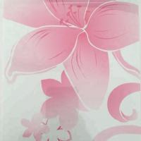 China PCM Pre Coated Metal Steel Sheet For Washing Machine Refrigerator for sale