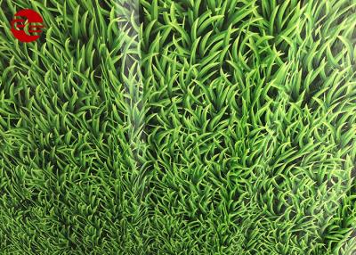 China Matt Finished Prepainted Steel Coil Astm Standard With Wrinkled Surface for sale