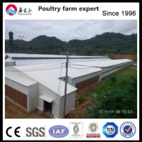 China EPS Insulated Chicken Farm House with Aluminum Alloy Windows for sale