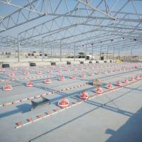 China Galvanized Sheet Livestock Farm House Steel Structure Breeder Chicken Houses for sale