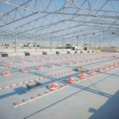 China Galvanized Sheet Livestock Farm House Steel Structure Breeder Chicken Houses for sale