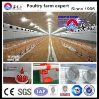 China Steel Poultry House with Sliding Windows and Ventilation for sale