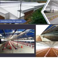 China Prefabricated Livestock Farm House with H-Section Steel PVC Insulation and Rolling Door for sale