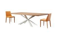 China Modern Nordic MDF Wooden Dining Table Set with 200x100 cm Walnut Veneer and Stainless Steel Base for sale