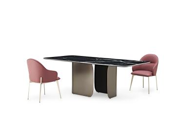 China Modern Dining Table with 8 Chairs 220x100x75 cm 12mm Tempered Glass Top Steel Base for sale