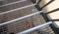 China T3 Steel Grate Stair Treads Hot Dip Galvanized Grating Steps for sale