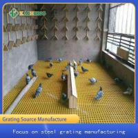 China FRP Pultruded Grating 1x3 for Pigeon Cage Feces Leakage Corrosion Resistant 19x19mm Grid for sale