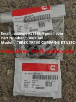 China 3001340 SEAL O RING TEREX  DUMP TRUCK  TR50 TR60 TR100 TR70 MINING HAULER OFF HIGHWAY RIGID DUMP TRUCK MT4400AC for sale