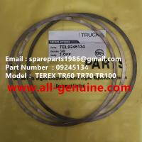 China TEREX 09245134 SHIM NHL DUMP TRUCK TR35 TR50 TR60 TR100 3305B 3305F 3303 3307 TR45 TR70 MT4400 for sale