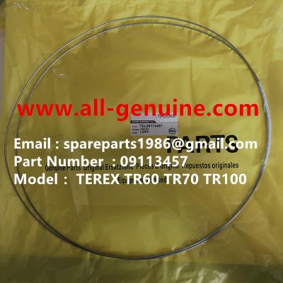 China TEREX 09113457 WIRE NHL DUMP TRUCK TR35 TR50 TR60 TR100 3305B 3305F 3303 3307 TR45 TR70 MT4400 for sale