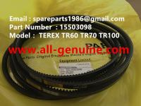 China TEREX 15503098 BELT OFF HIGHWAY NHL DUMP TRUCK TR35 TR50 TR60 TR100 3305B 3305F 3303 3307 TR45 TR70 MT4400 for sale