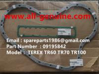 China 09195842 GASKET ALLISON TEREX NHL DUMP TRUCK TR35 TR50 TR60 TR100 3305B 3305F 3303 3307 TR45 TR70 MINING OFF HIGHWAY for sale