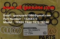 China 15268373 KIT TEREX DUMP TRUCK  TA40 TR50 TR60 TR70 TR100A MT4400 MT3600 MT3700 MT5500 GE NTE240 NTE260 for sale