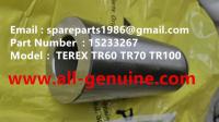China 15233267 PIN SHAFT TEREX RIGID DUMP TRUCK NHL TR35A TR50 TR60 TR100  3304 3305B 3307  ALLISON UNIT RIG MT4400 for sale