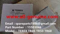China TEREX 15503046 BREATHER OFF HIGHWAY NHL DUMP TRUCK TR35 TR50 TR60 TR100 3305B 3305F 3303 3307 TR45 TR70 MT4400 for sale