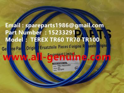 China 15233291 SEAL TEREX NHL GE WHEEL MOTOR TR50 TR60 TR45 TR70 MINING DUMP TRUCK GENUINE MT4400 MT3600 BELAZ 75131 HAULER for sale