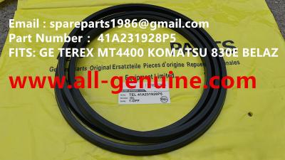 China 41A231928P5 SEAL 5GEB25A KOMATSU 730E 830E  TEREX UNIT RIG BUCYRUS MT4400AC MT5500 MT3600 NTE240 NTE260 for sale