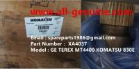 China XA4037 ROTOR KOMATSU 730E 830E  TEREX UNIT RIG BUCYRUS MT4400AC MT5500 MT3600 NTE240 NTE260 for sale