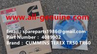 China 4089902 SEAL WHEEL MOTOR GE 730E 830E  TEREX UNIT RIG BUCYRUS MT4400AC MT5500 MT3600 NTE240 NTE260 for sale