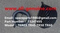 China 15247495 BELLOW WHEEL MOTOR GE 730E 830E  TEREX UNIT RIG BUCYRUS MT4400AC MT5500 MT3600 NTE240 NTE260 for sale