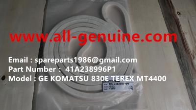 China 41A238996P1 SEAL GE TEREX UNIT RIG BUCYRUS MT4400AC MT5500 MT3600 NTE240 NTE260 NHL MINING DUMP TRUCK HAULER for sale
