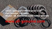 China 916084 SEAL KIT TEREX UNIT RIG BUCYRUS MT4400AC MT5500 MT3600 NTE240 NTE260 NHL DUMP TRUCK HAULER MINING for sale