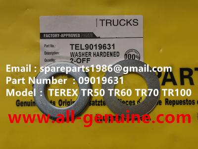 China TEREX 09019631 WASEHR MINING NHL DUMP TRUCK TR35 TR50 TR60 TR100 3305B 3305F 3303 3307 TR45 TR70 MT4400  ALLISON for sale
