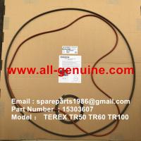 China TEREX 15303607 SEAL KIT OFF HIGHWAY NHL DUMP TRUCK TR35 TR50 TR60 TR100 3305B 3305F 3303 3307 TR45 TR70 MT4400 for sale