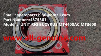 China 4875861 BEARING WHEEL MOTOR GE KOMATSU 730E 830E  TEREX UNIT RIG BUCYRUS MT4400AC MT5500 MT3600 NTE240 NTE260 for sale