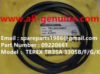 China 09220661 3305B/F/G/K TR35A TR45 TR50 TR60 TR70 TR100 TEREX NHL DUMP TRUCK TR100 HAULER TRUCK OFF HIGHWAY for sale