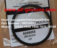 China TEREX 09256055 O RING NHL MINING DUMP TRUCK TR35 TR50 TR60 TR100 3305B 3305F 3303 3307 TR45 TR70 MT4400 for sale