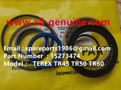 China 15273474 SERVICE KIT TEREX NHL TR50 TR60 TR45 TR70 MINING DUMP TRUCK GENUINE for sale