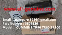 China 3801826 KIT  TURBO CHARGER  TEREX TR100 MINING RIGID DUMP TRUCK OFF HIGHWAY TRUCK GENUINE PARTS for sale