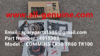 China 4915303 GASKET  TEREX TR100 MINING RIGID DUMP TRUCK OFF HIGHWAY TRUCK GENUINE PARTS for sale