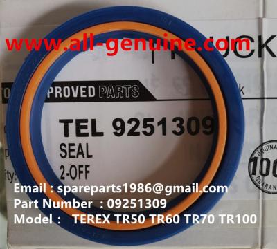 China TEREX 09251309 SEAL NHL MINING DUMP TRUCK TR35 TR50 TR60 TR100 3305B 3305F 3303 3307 TR45 TR70 MT4400 for sale