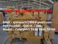 China QSK19-C700 ENGINE ASSY  TEREX TR100 MINING RIGID DUMP TRUCK OFF HIGHWAY TRUCK GENUINE PARTS for sale