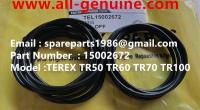 China 15002672 SEAL TEREX  MINING  NHL DUMP TRUCK TR35 TR50 TR60 TR100 3305B 3305F 3303 3307 TR45 TR70 MT4400 for sale