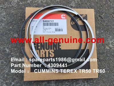 China TEREX 4309441 RING PISTON SET  NHL MINING DUMP TRUCK TR35 TR50 TR60 TR100 3305B 3305F 3303 3307 TR45 TR70 MT4400 for sale